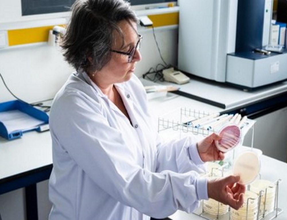 Axplora : le nouveau nom de Farmabios, Novasep et PharmaZell – Pharmélis